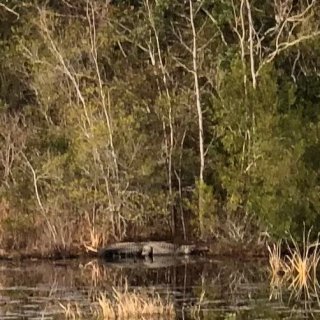 Short Stay Navy Outdoor Recreation Area - Moncks Corner, South Carolina ...